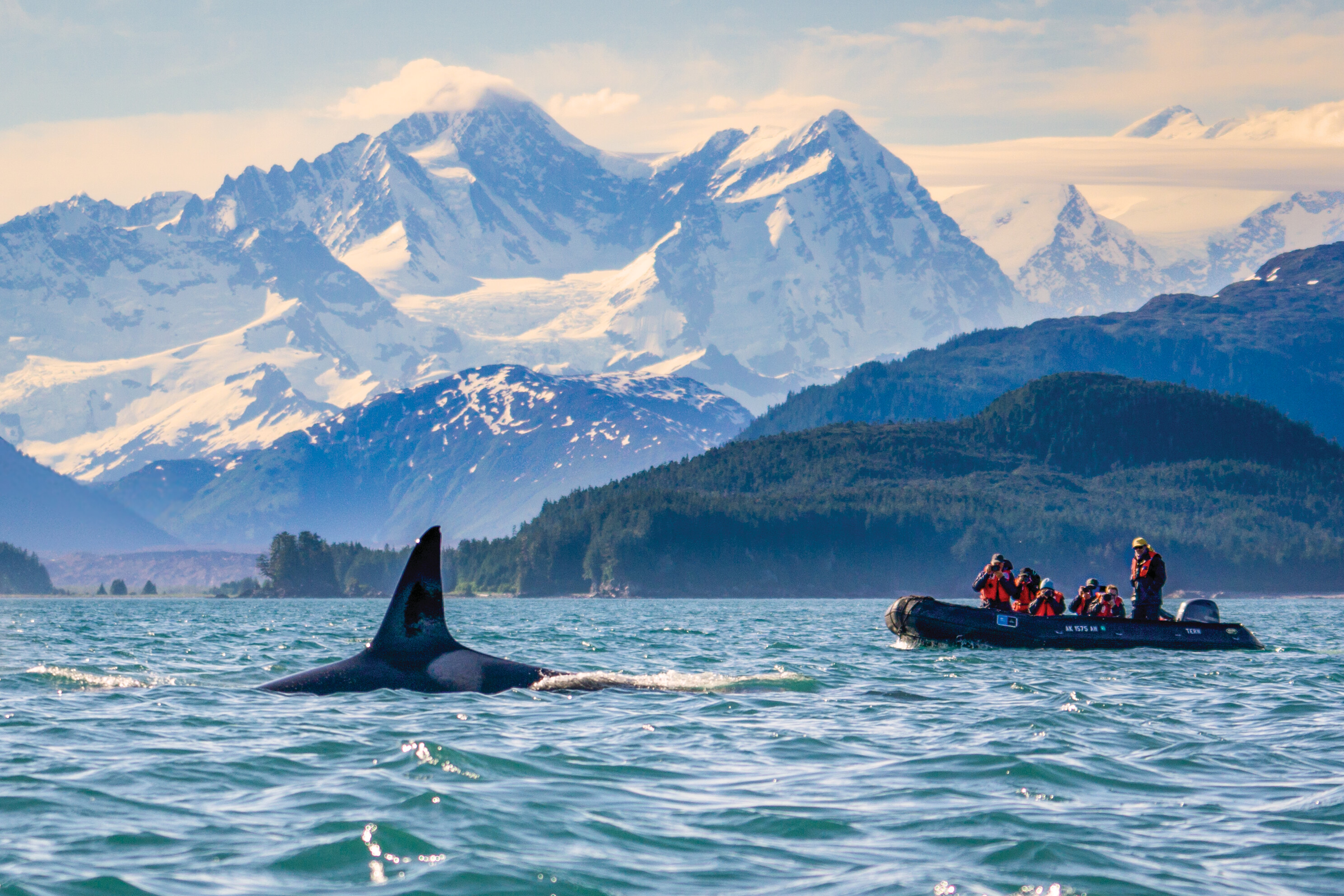 Experience Alaska: Expedition Cruises | Adventure Travel | Lindblad ...