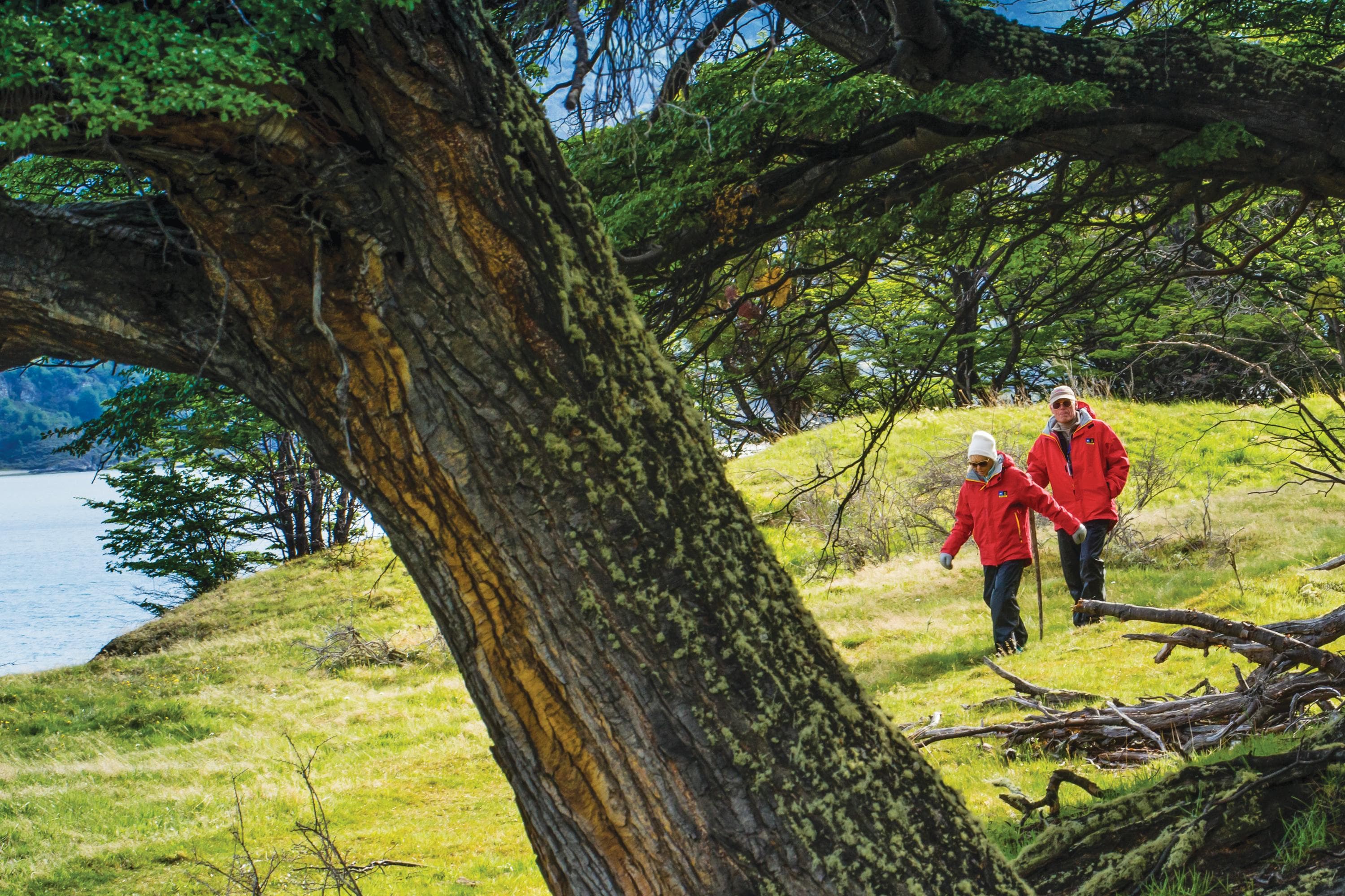Patagonia Expedition | South America Adventure Travel | Lindblad ...