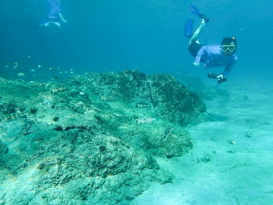 Beginner Tips for Spectacular Undersea Photos