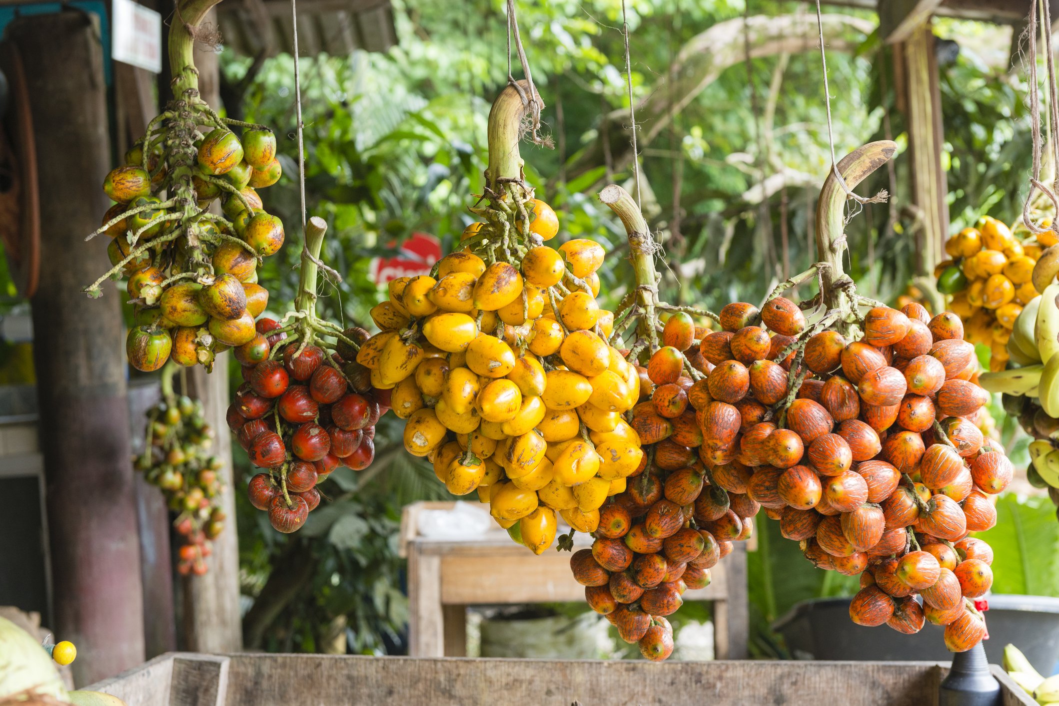 Costa Rica's Culinary Renaissance | Lindblad Expeditions