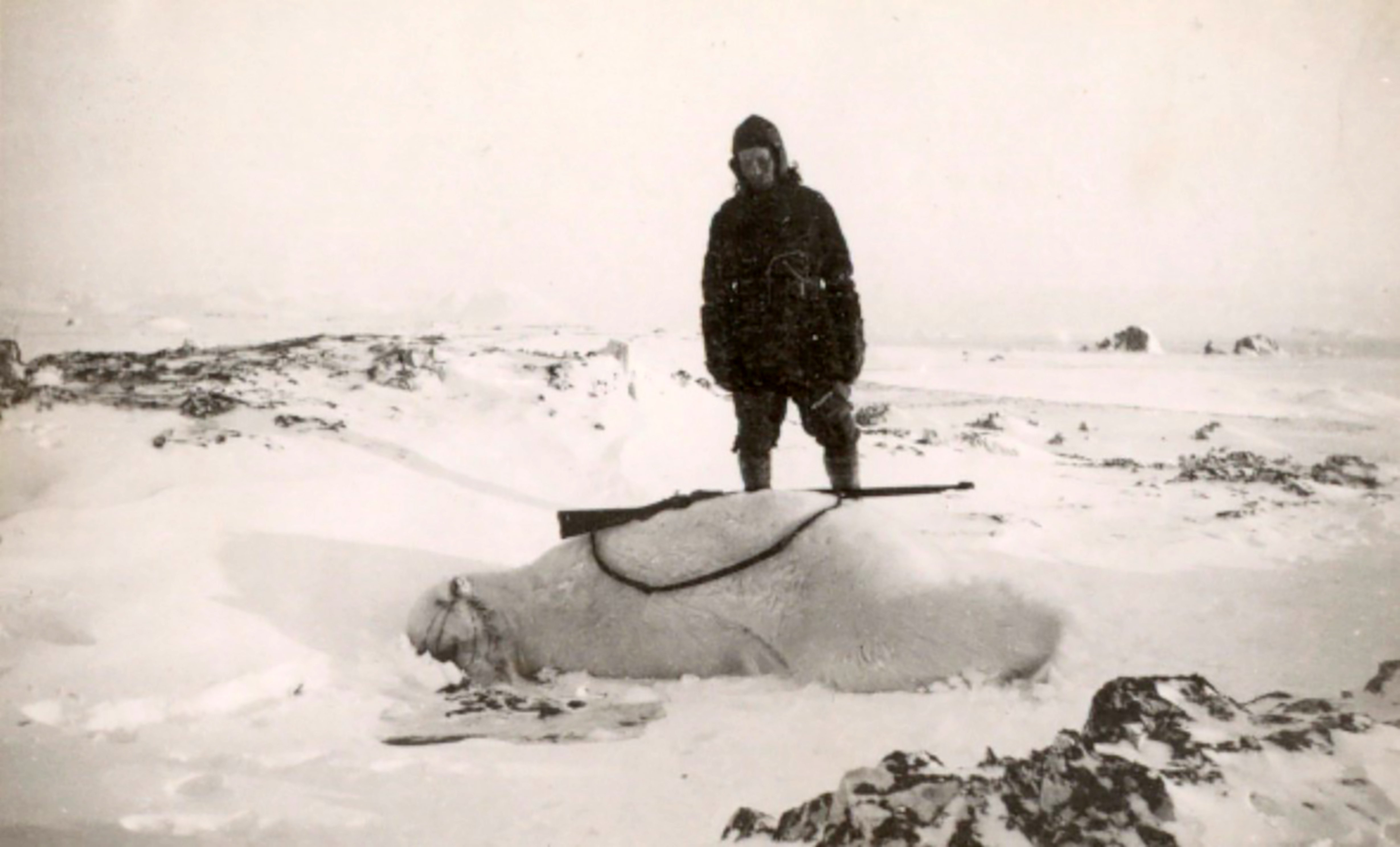 Expedition Spotlight: Arctic Trailblazer Wanny Woldstad | Lindblad ...