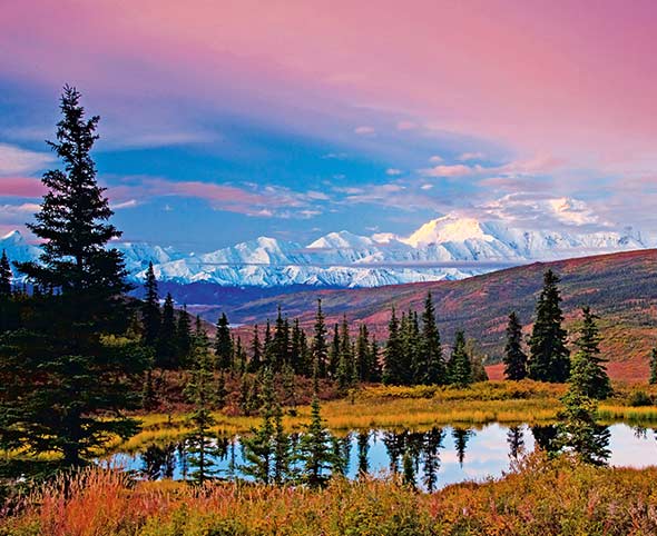 Denali National Park Wallpaper Denali Above Red Fall Tundra In Alaska