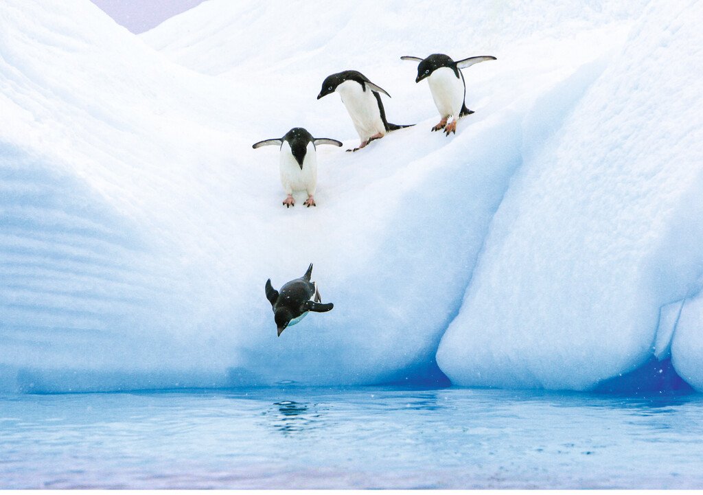 Lindblad Expeditions-National Geographic Launches Two New Ways to ...