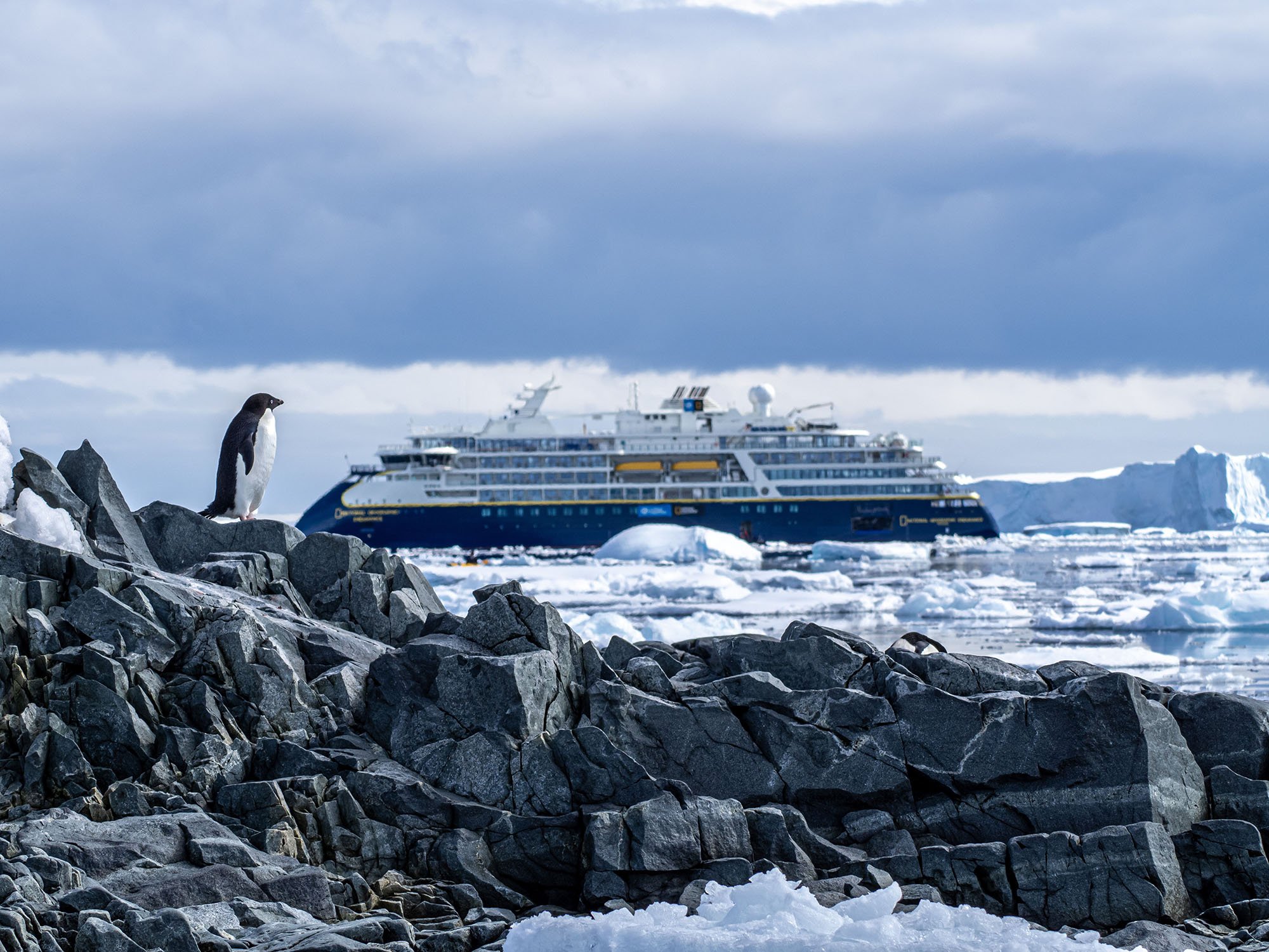 Photos of the Week, December 22, 2022 | Lindblad Expeditions