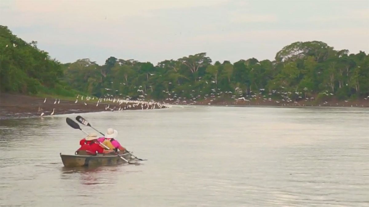 Amazon Adventure Travel | Amazon Expedition | Lindblad Expeditions