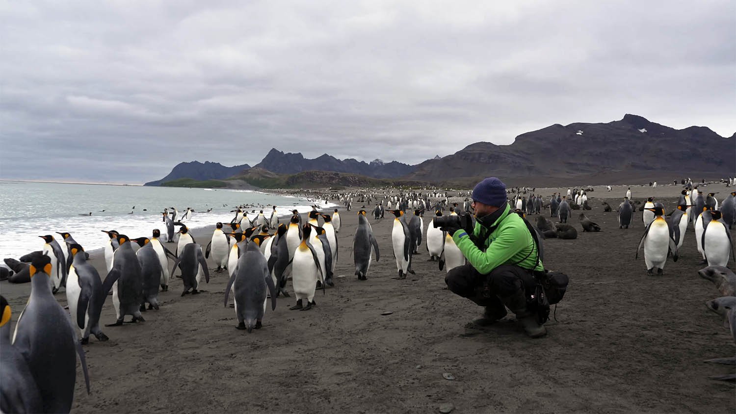 Antarctica Adventure Travel | Lindblad Expeditions