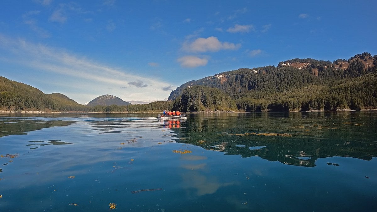 Wildlife of the Inian Islands | Lindblad Expeditions