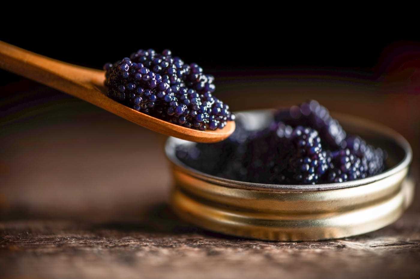 7 Traditional Foods of Greenland | Lindblad Expeditions